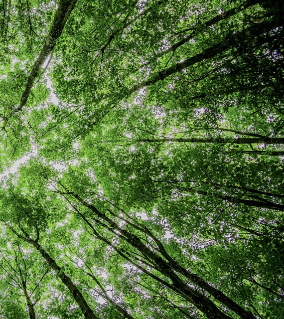 Sustainability Report 2020 | HEXPOL - A Material Difference